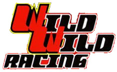 Wild Wild Racing (PS2) – Paraíso dos Truques